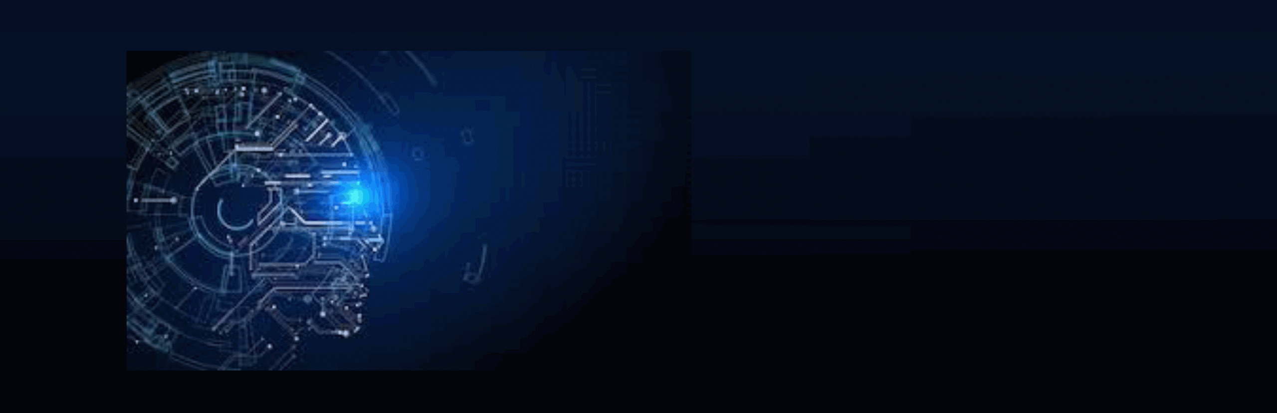 SGM Applications - Infocomm Technology